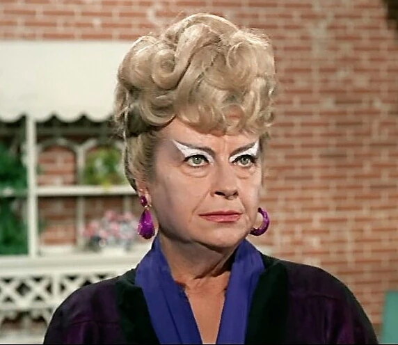 Category:Witch | Bewitched Wiki | Fandom