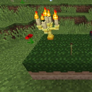 Discuss Everything About Bewitchment Wiki | Fandom