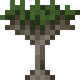 Dragon's Blood Tree | Bewitchment Wiki | Fandom