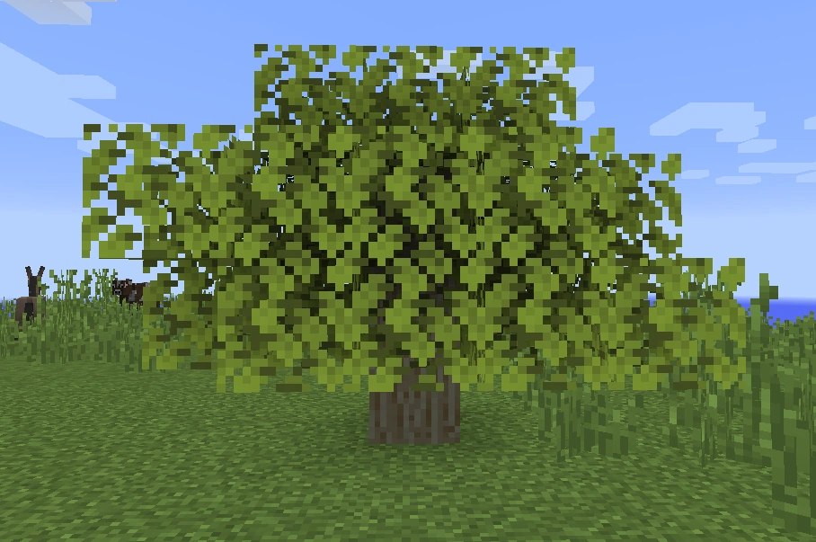 Elder bark | Bewitchment Wiki | Fandom