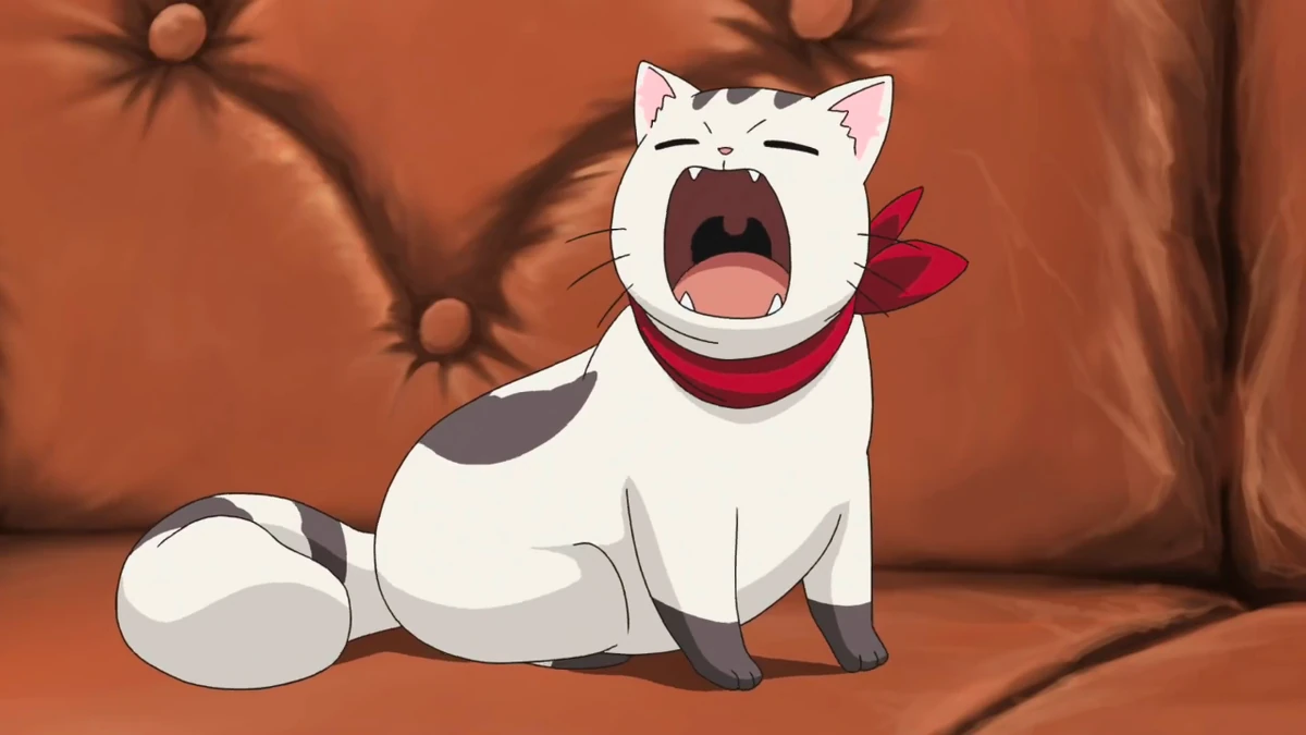 Tango's Cat | Beyblade Wiki | Fandom