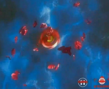 Levien Rose | Beyblade Wiki | Fandom