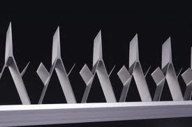 Spike Stadium | Beyblade Fanon Wiki | Fandom