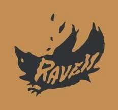 Hyperstorm Raven RD:D | Beyblade Fanon Wiki | Fandom