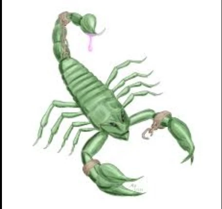 Venom scorpionix D2-145RJB | Beyblade Fanon Wiki | Fandom