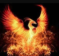 Revive Phoenix Ω Metal Quattro" Wing | Beyblade Fanon Wiki | Fandom