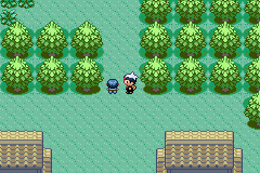 Pokemon Ruby Gameplay (Kai) Ch-1 | BeybladeStories Wiki | Fandom