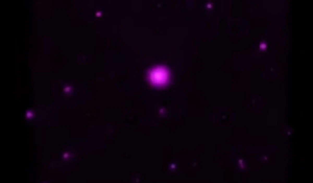 Megalocality | Beyond Observable Universe Wiki | Fandom