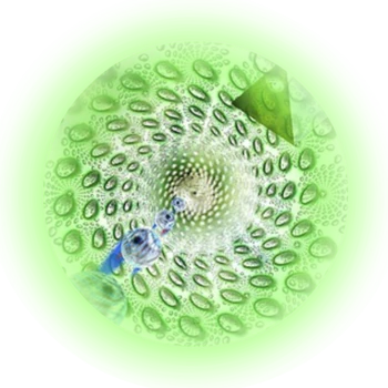 Antihyperverse | Beyond Universe Wiki | Fandom