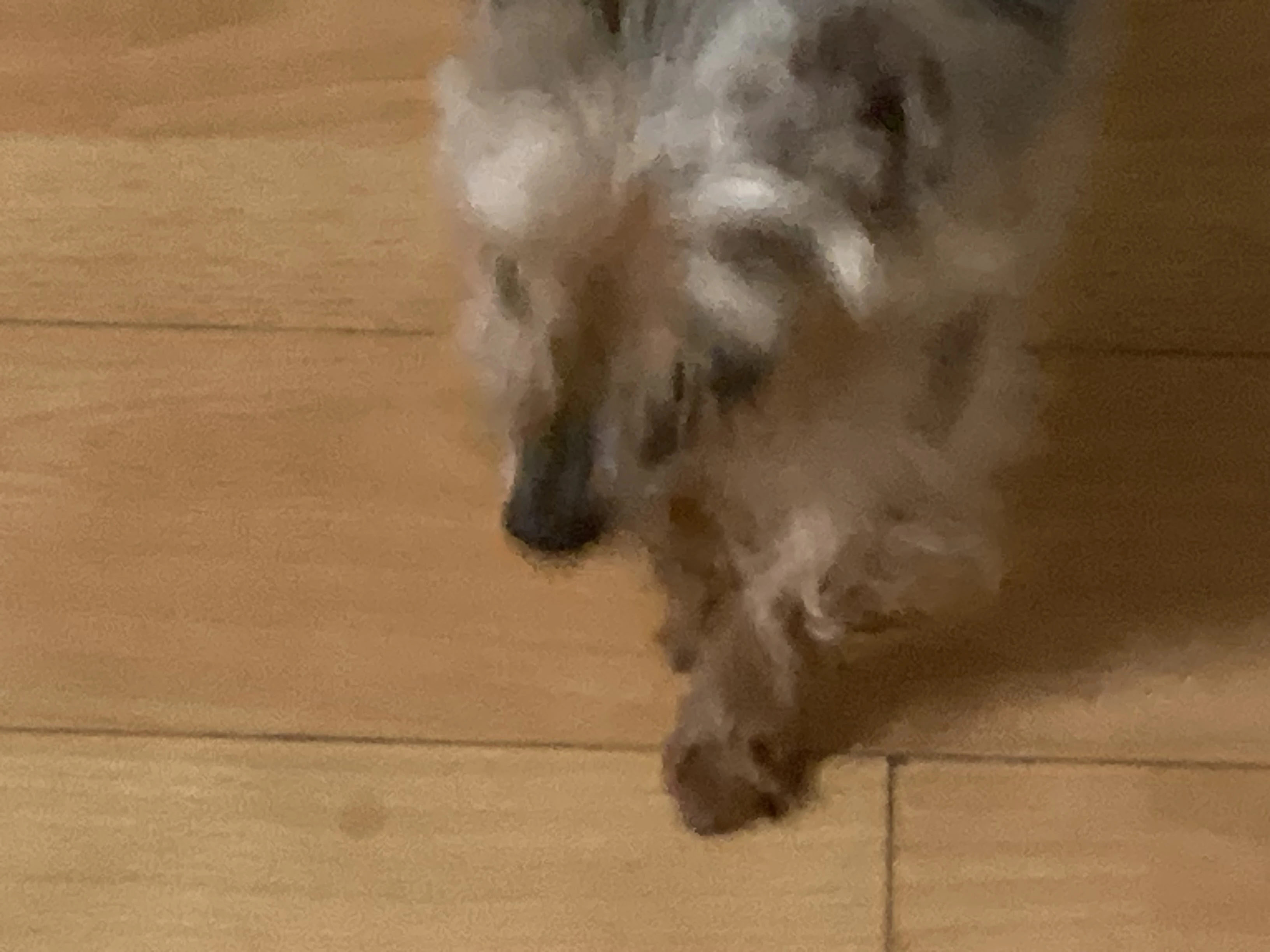 Discuss Everything About Beyond Universe Wiki | Fandom