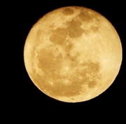 BUGC-1-1 System | Beyond Universe Wiki | Fandom