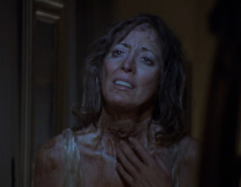 The Apparition | Beyond Belief: Fact or Fiction Wiki | Fandom