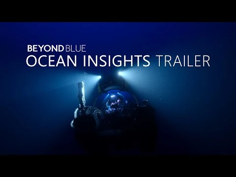 Ocean Insights | Beyond Blue Wiki | Fandom