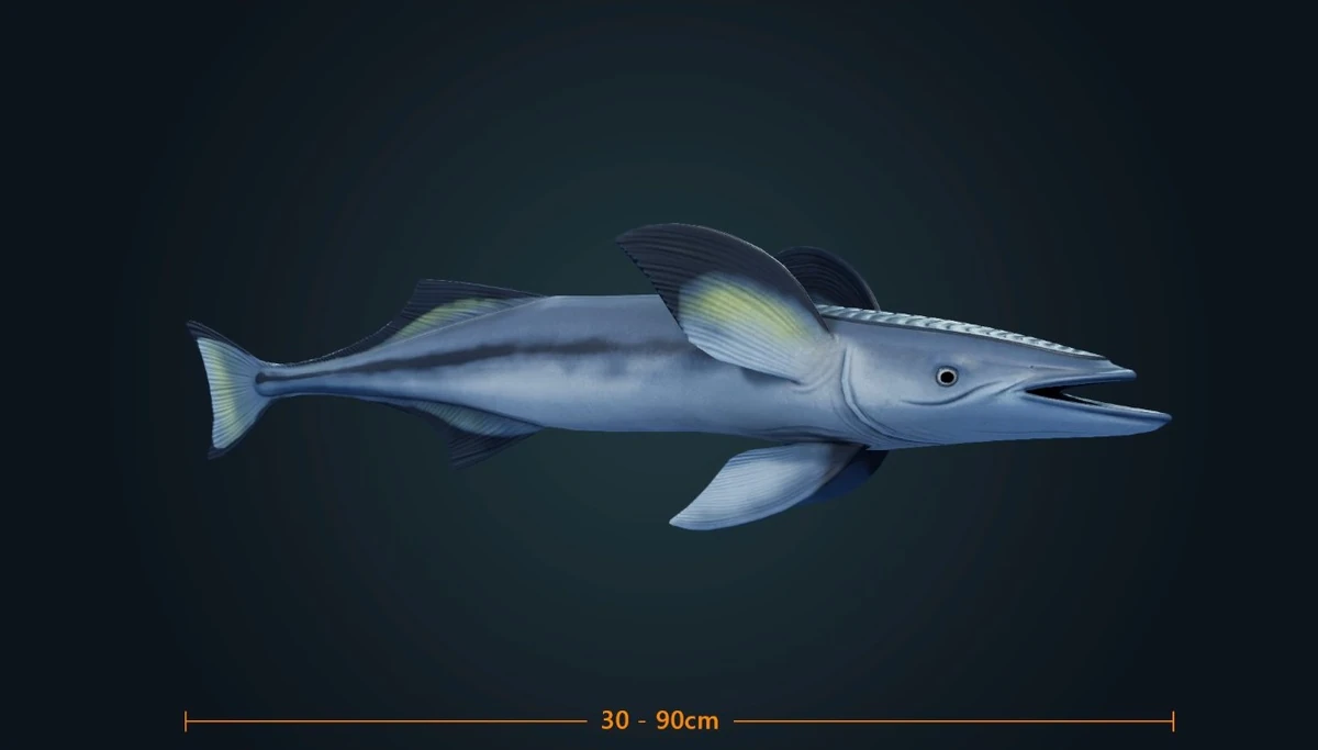 Remora | Beyond Blue Wiki | Fandom