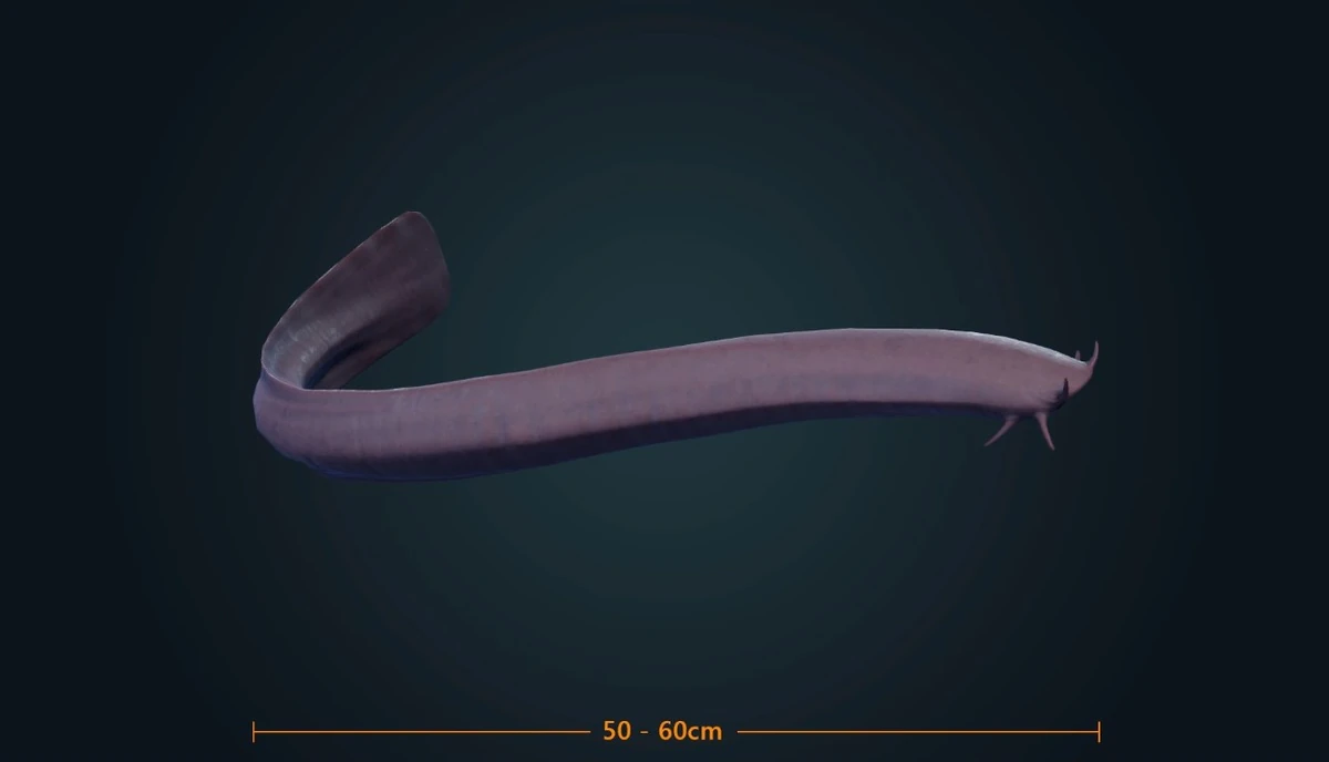 Hagfish | Beyond Blue Wiki | Fandom