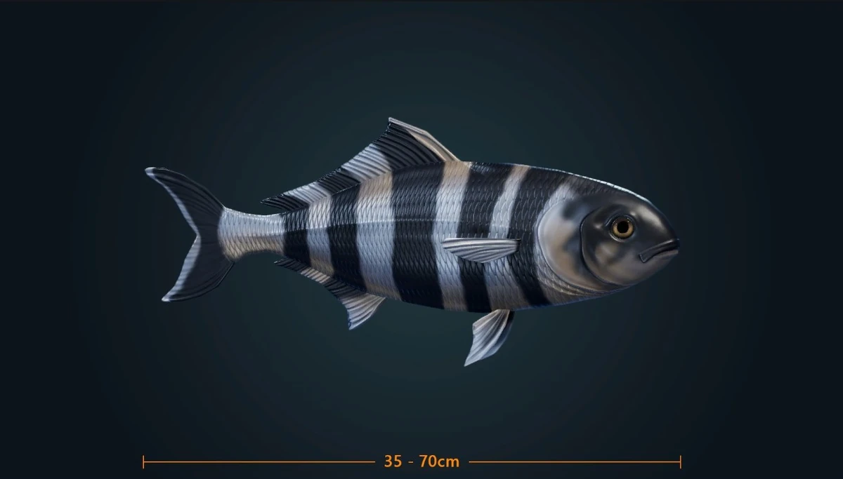 Pilotfish | Beyond Blue Wiki | Fandom