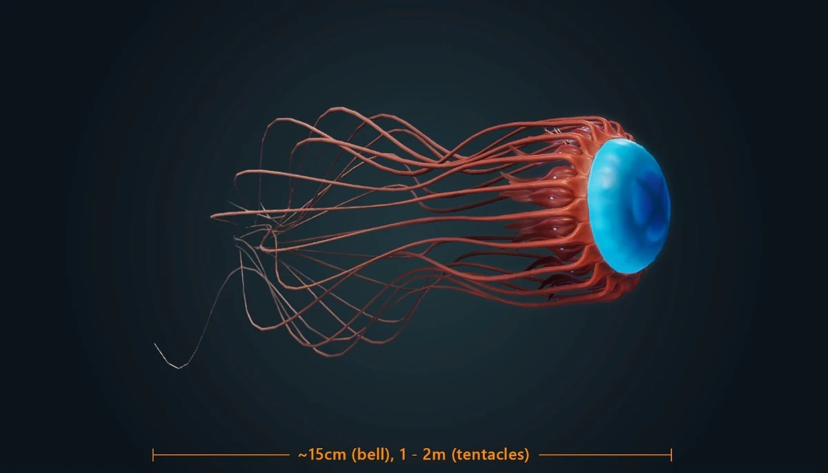 Atolla Jellyfish | Beyond Blue Wiki | Fandom