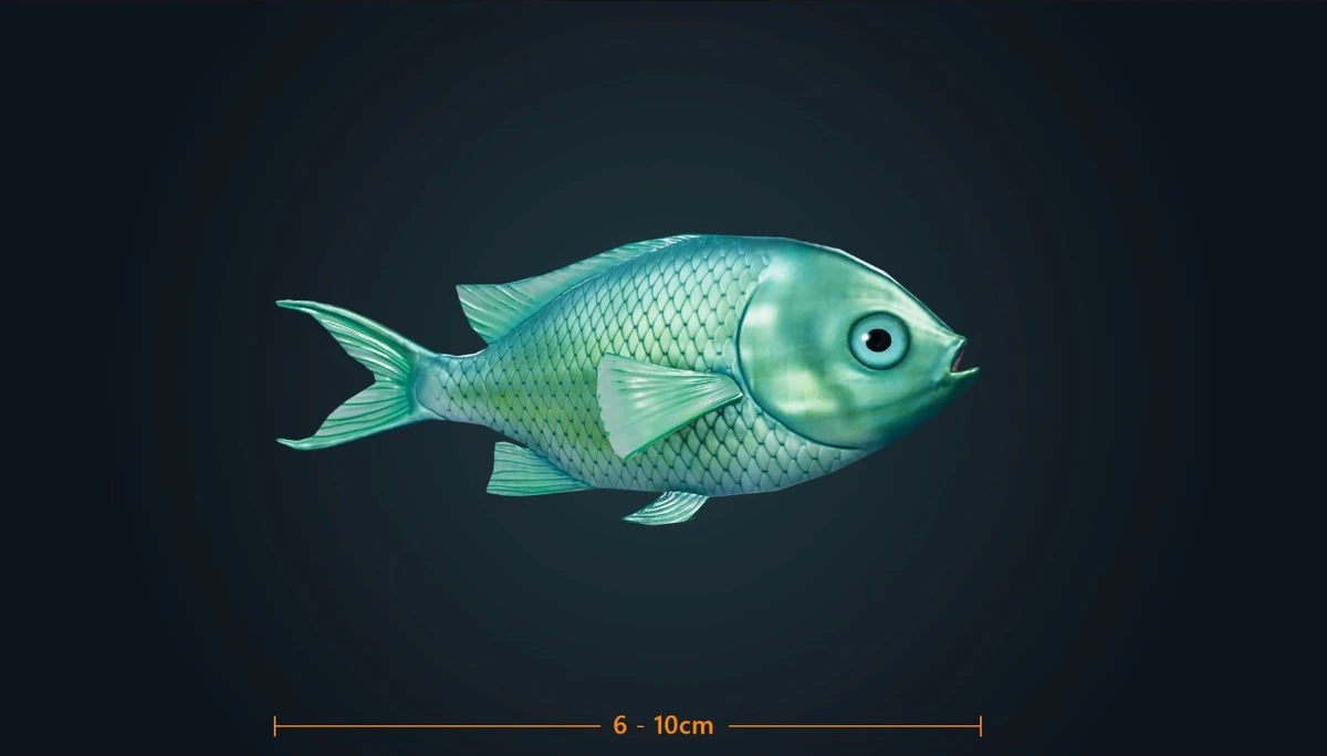 Category:Damselfish | Beyond Blue Wiki | Fandom