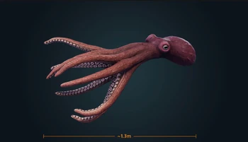 Octopus | Beyond Blue Wiki | Fandom