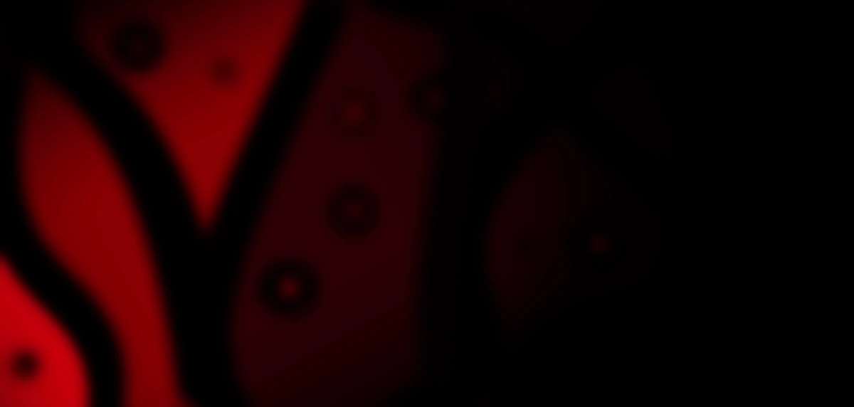 Megaverse | Beyond-Cosmology Wiki | Fandom