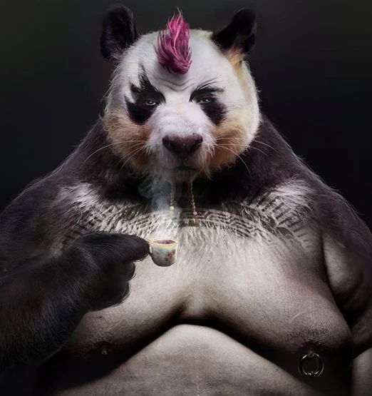 Hsing-Hsing | Beyond Good and Evil Wiki | Fandom