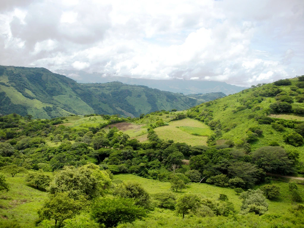 The Southlands | Beyond Immortal Wiki | Fandom