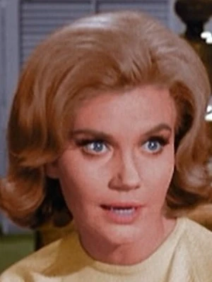 Diane | Bezaubernde Jeannie Wiki | Fandom