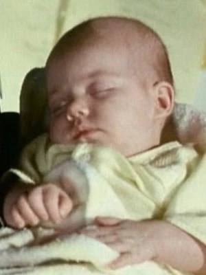 Roger Healey | Bezaubernde Jeannie Wiki | Fandom