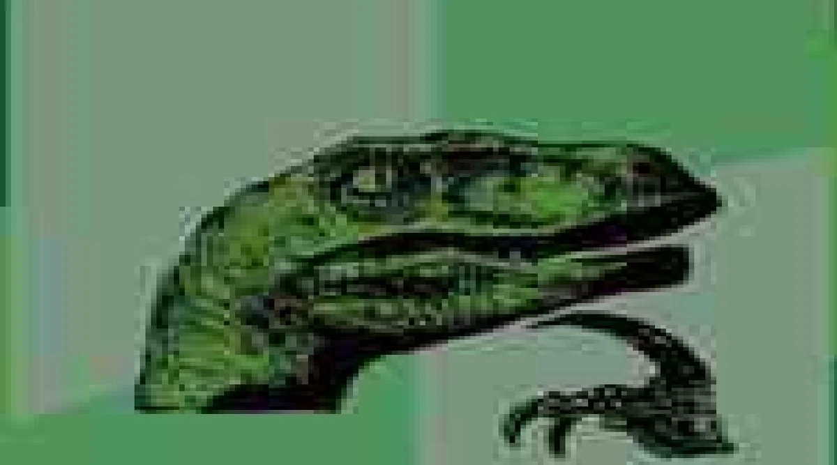 Mem | BezsensownyNet Wiki | Fandom