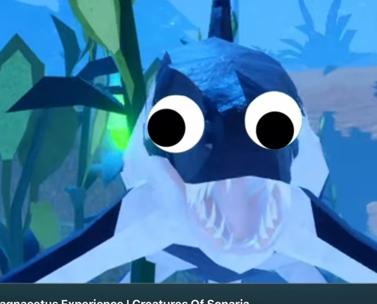 Silly magnacetus | Fandom