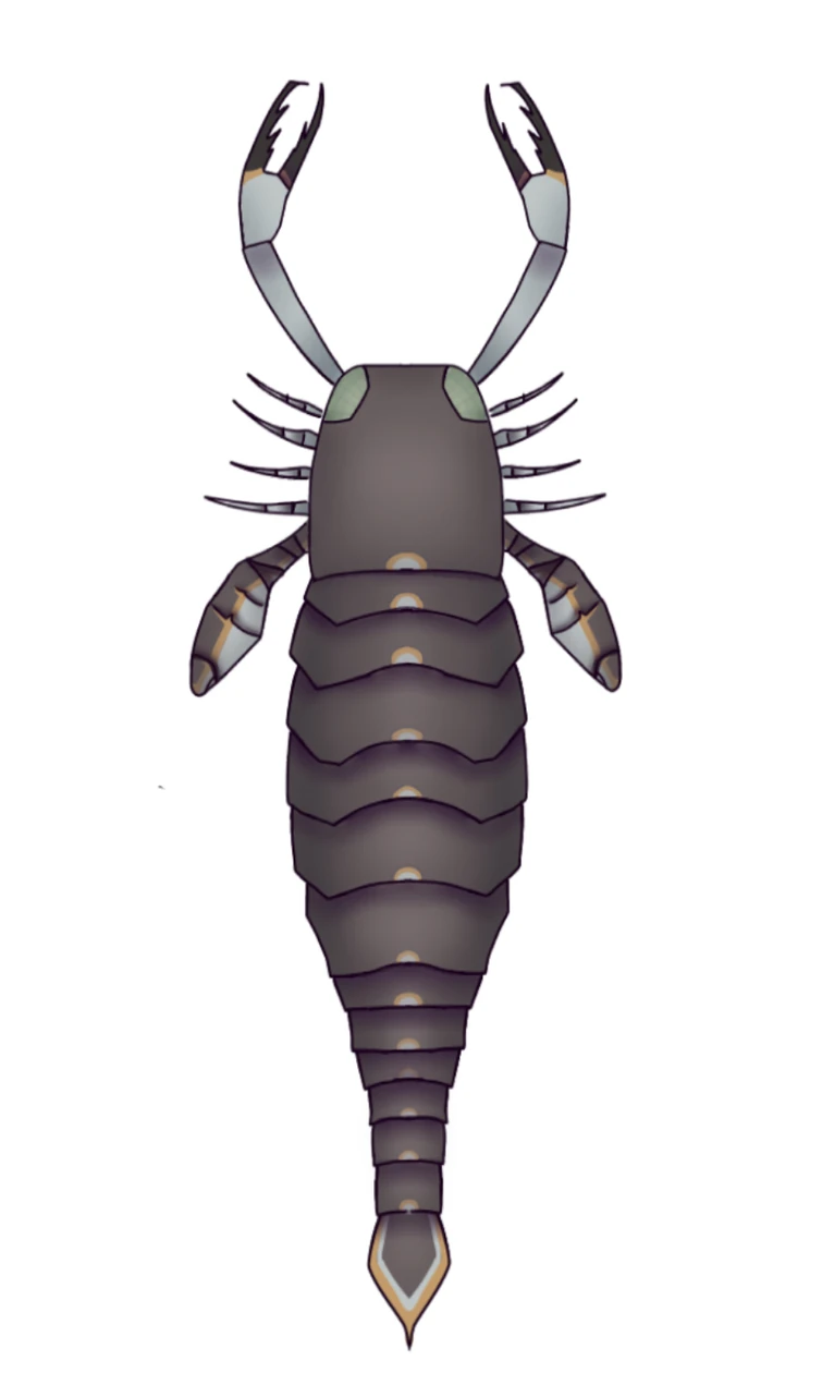 stylized pterygotus redraw | Fandom