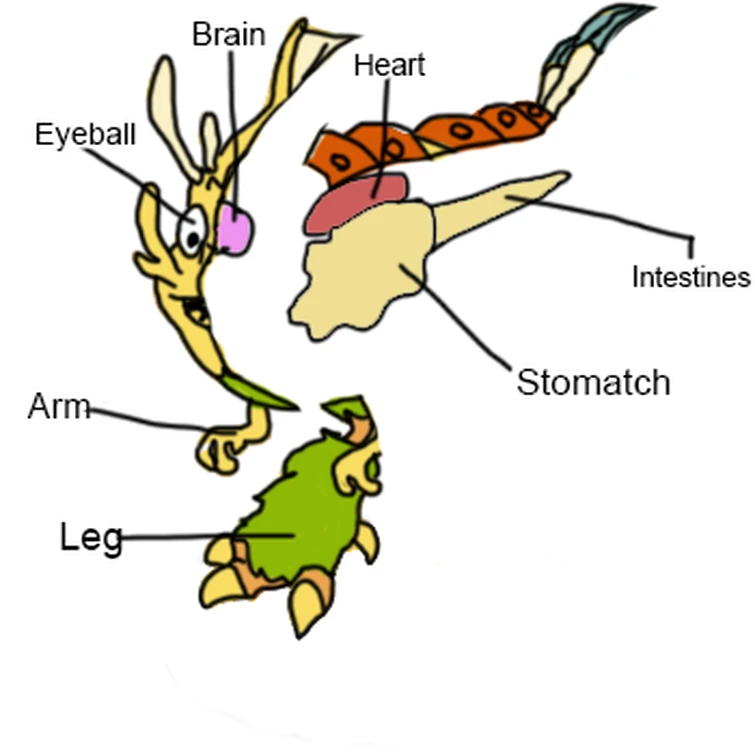 Monster Anatomy (6) | Fandom