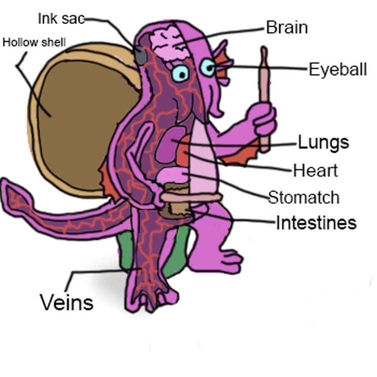 Monster Anatomy's Back 01!!! | Fandom