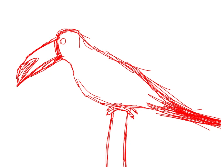 Drawing bird palisman because i have grown into an obsession of drawing ...