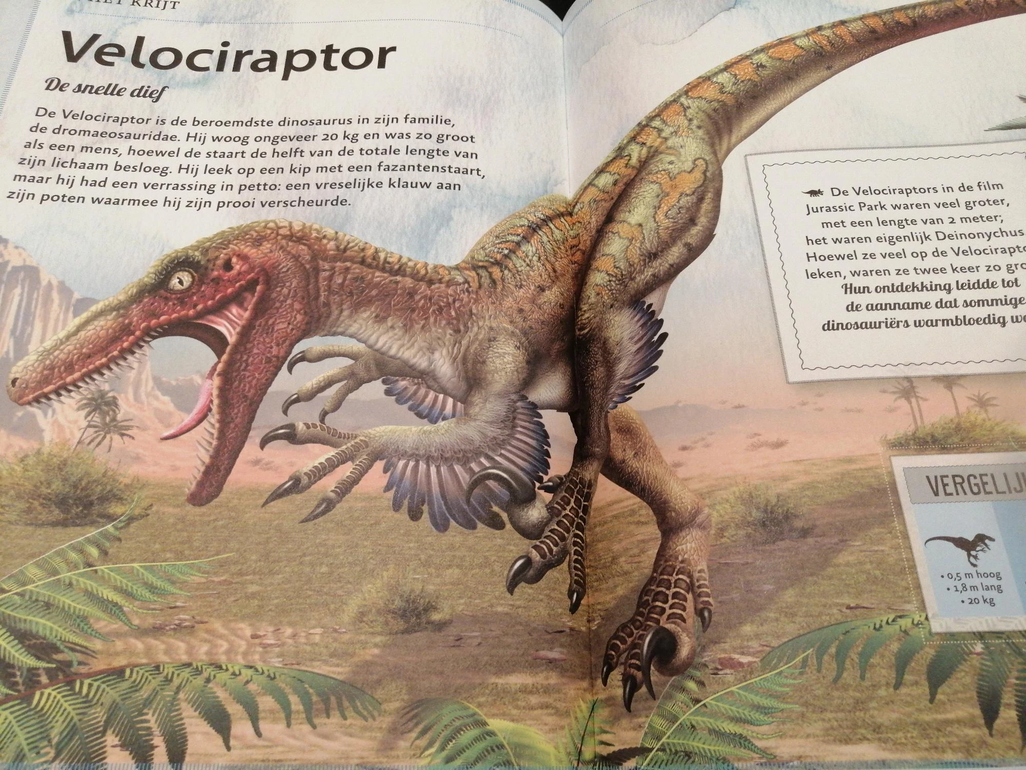 Velociraptor from the book | Fandom