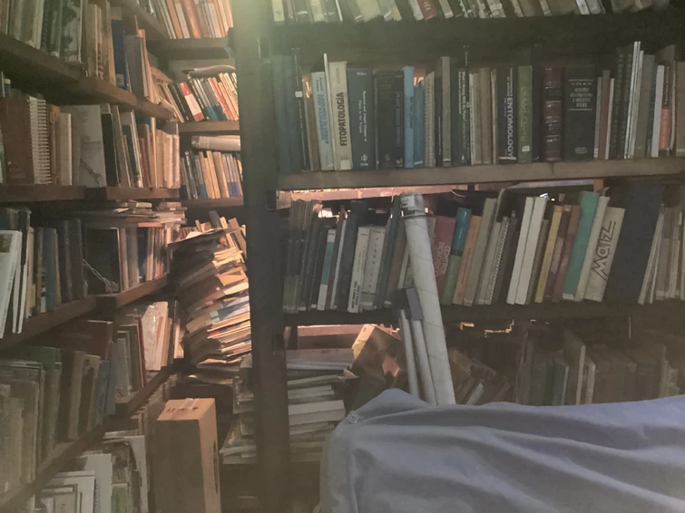 room | Fandom