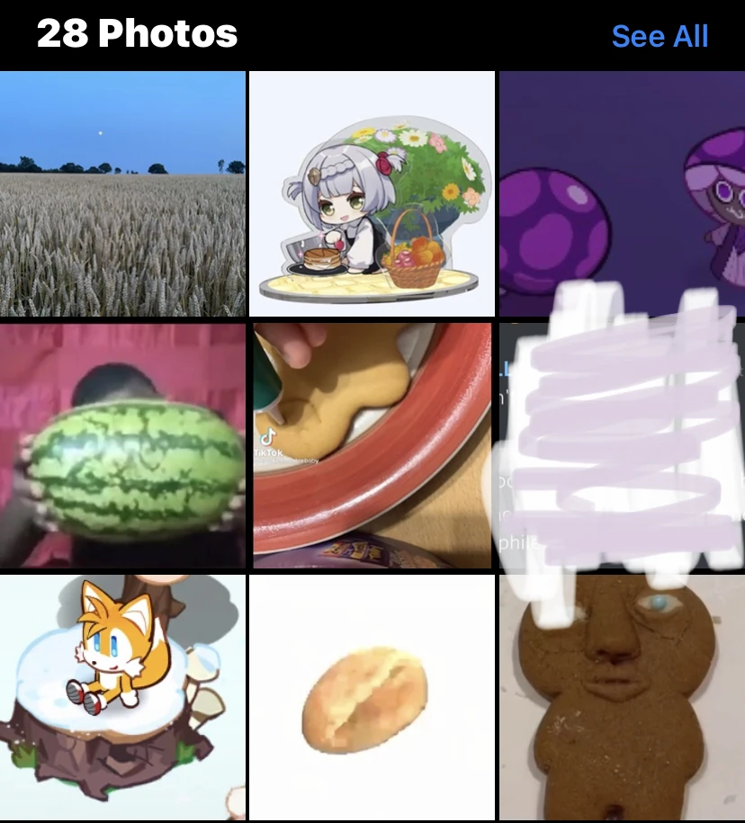 what my gallery considers food | Fandom