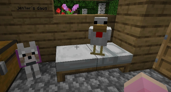 jester's minecraf dog + our pet chicken | Fandom