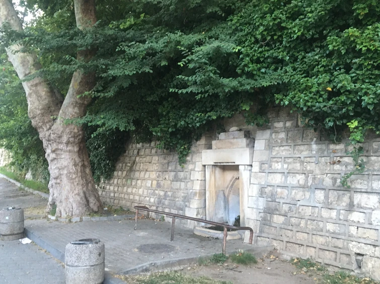 The Overgrown | Fandom