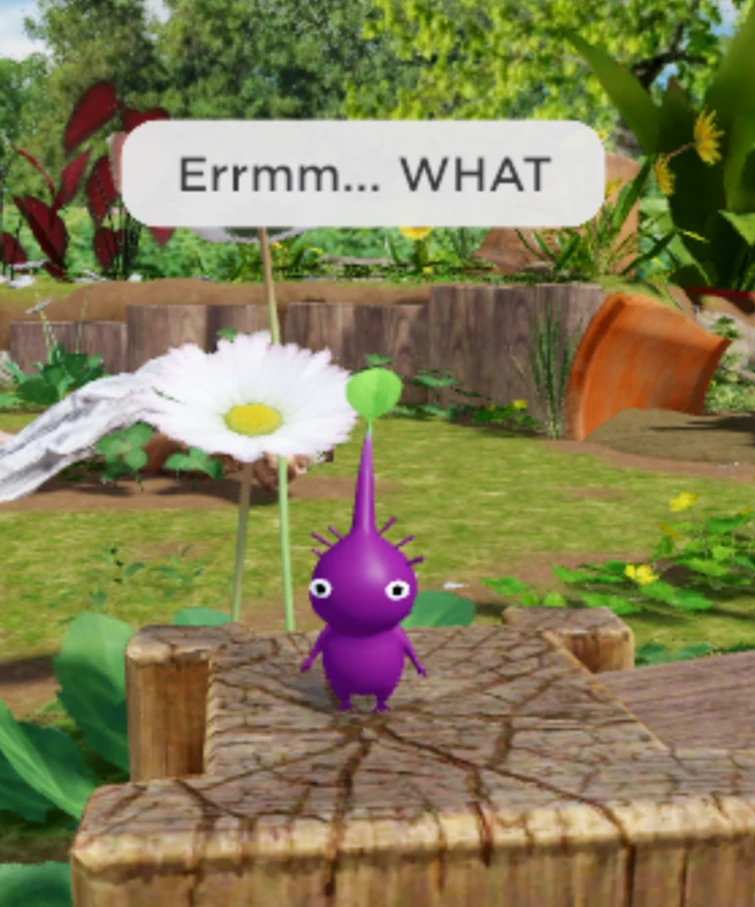 Pinterest, why | Fandom