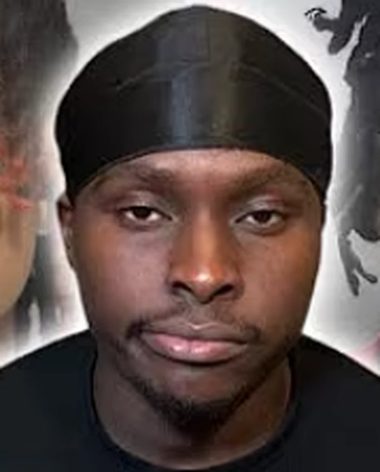 Discuss Everything About Robloxiapedia | Fandom