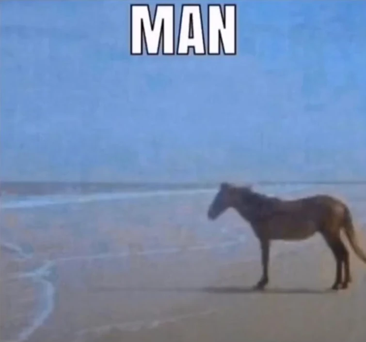 reply and I'll make you the worst pfp of all time | Fandom