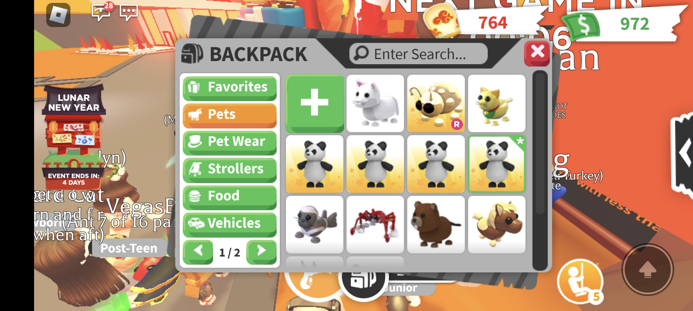 Lf amami rabbits!!!!!!!! | Fandom