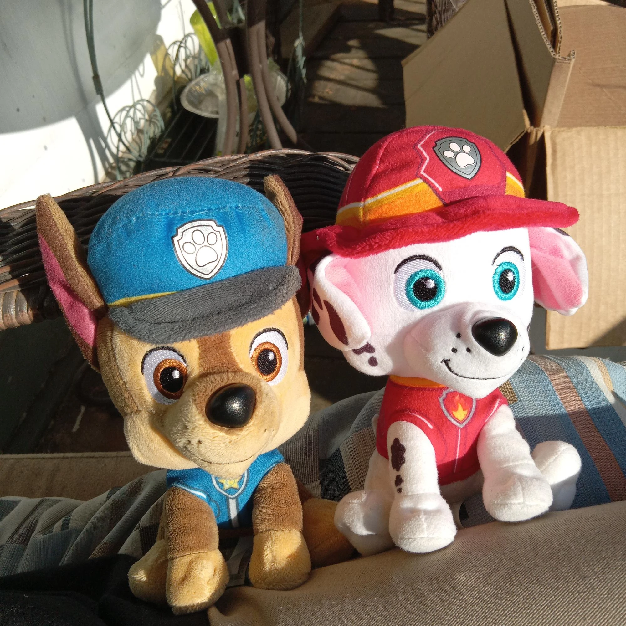 Friends Forever | Fandom