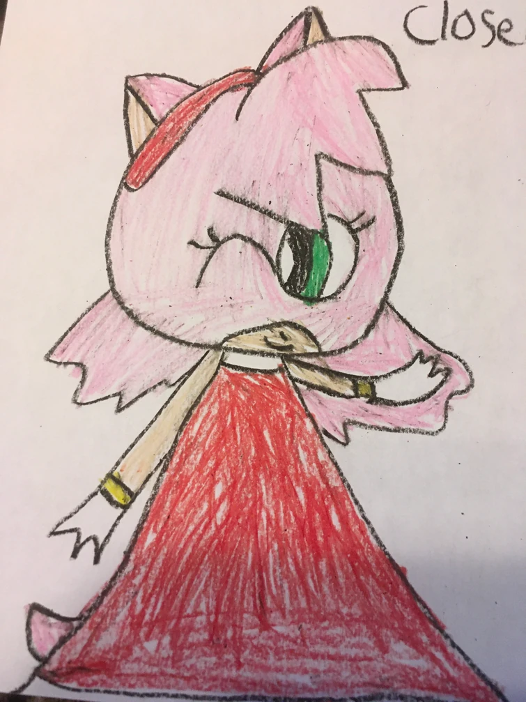 My Amy rose close up drawing | Fandom