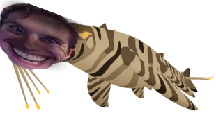 WHEN THE BIG WAR WHALE IS SUS | Fandom
