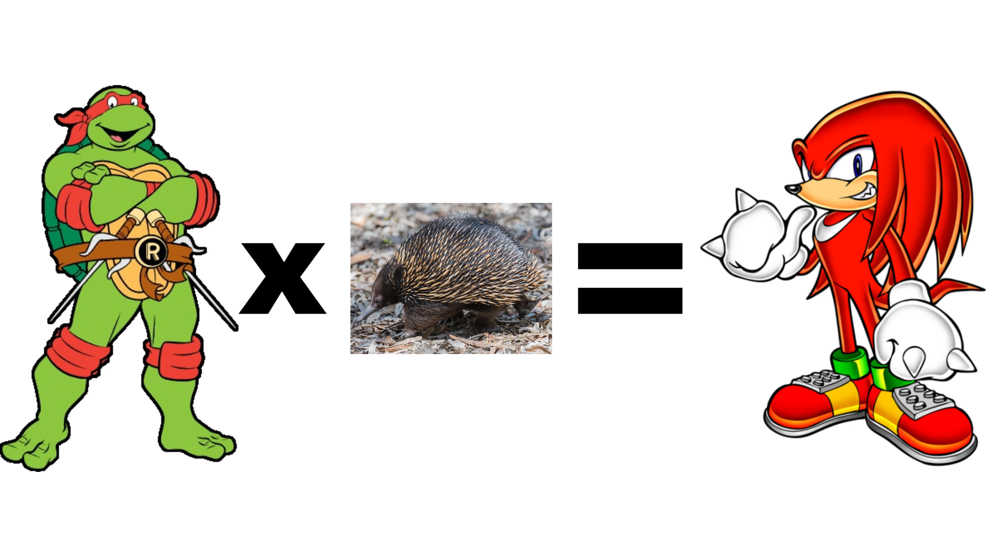 This Is Basically Knuckles | Fandom