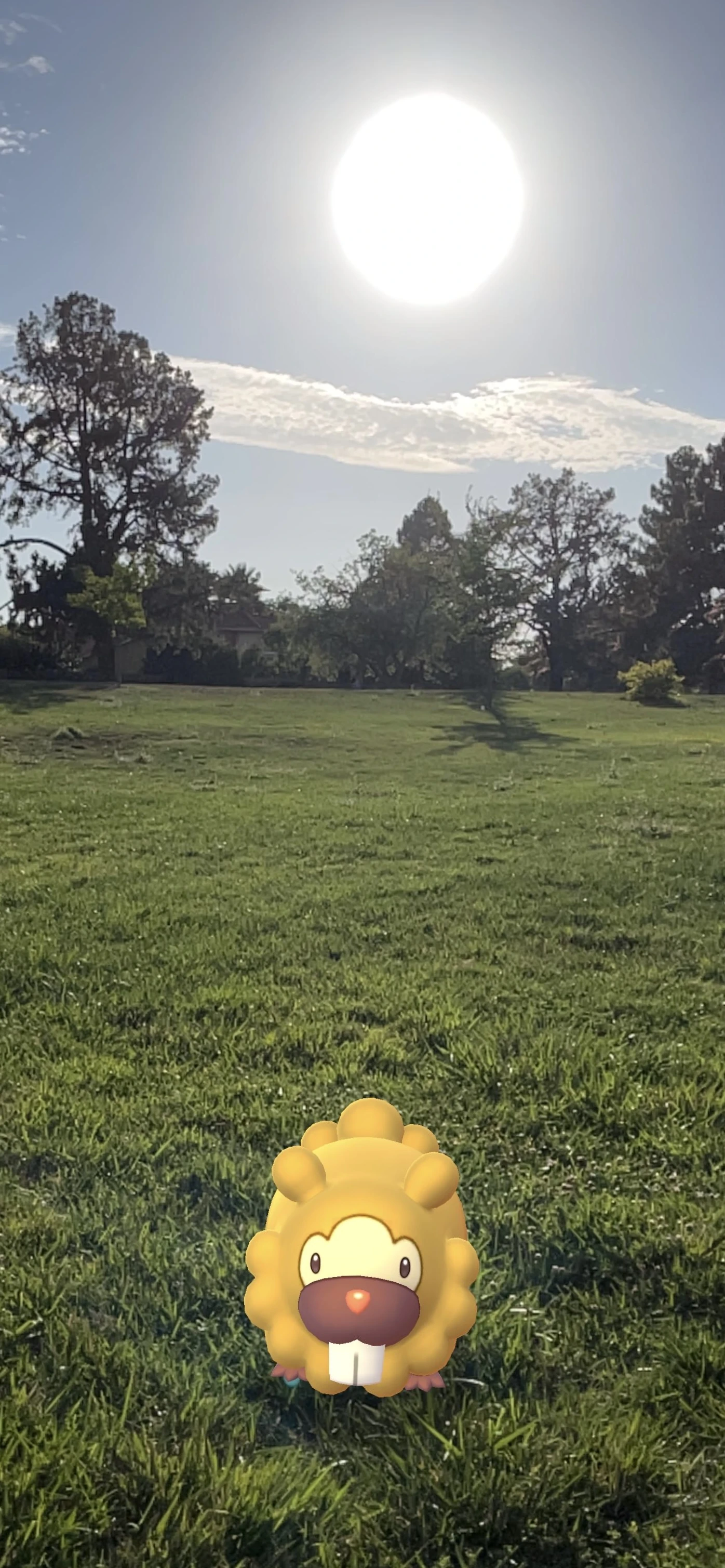 ALL HAIL BIDOOF | Fandom