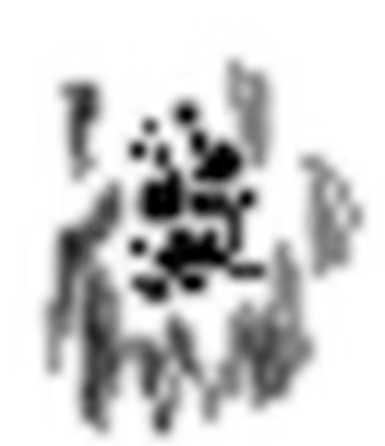 G-177 mimics doors 2d entity | Fandom