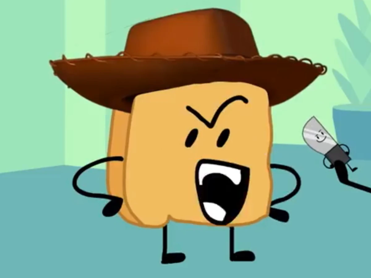 Woody | Bfb but broken Wiki | Fandom